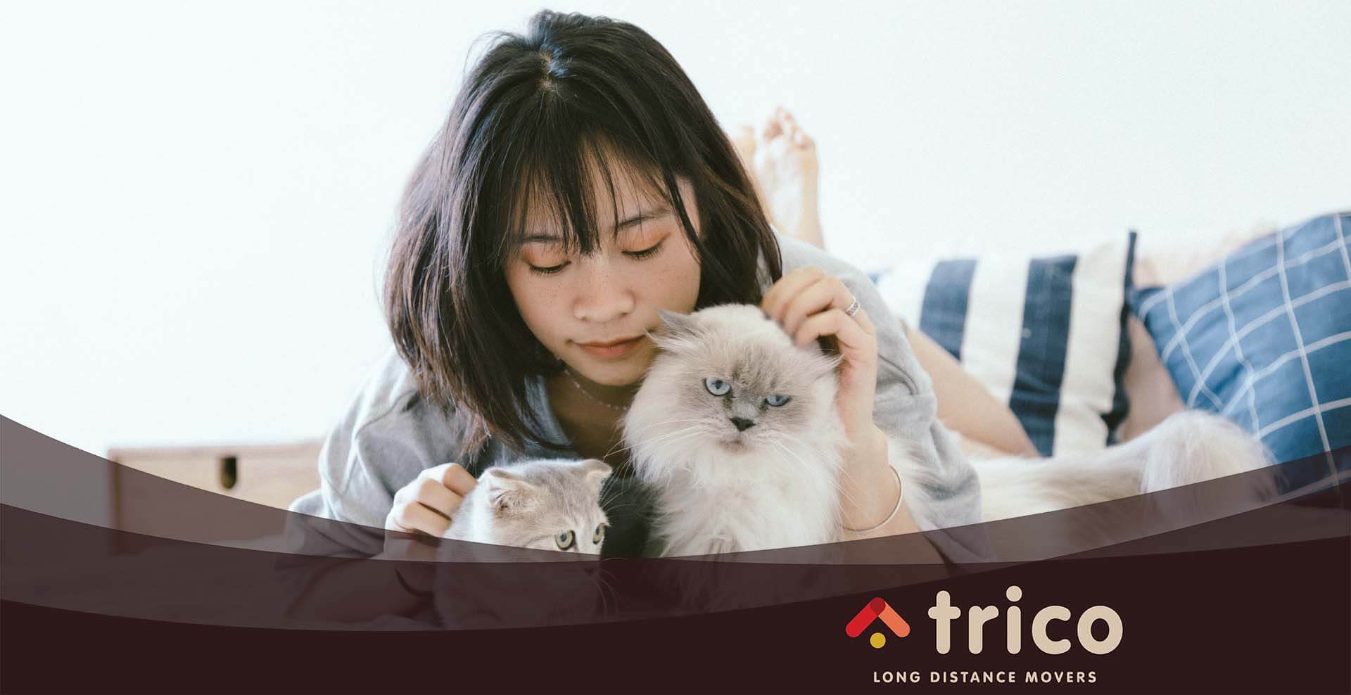 Moving With Pets | Moving Tips | Trico Long Distance Movers